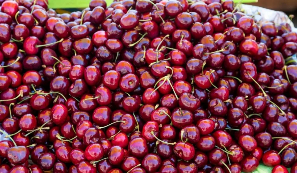 Cât costă un kilogram de cireșe, în piețele din România, în martie 2024 ...